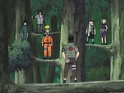 Sand Alliance With the Leaf Shinobi | Narutopedia | Fandom