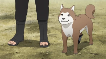 Chamaru | Wiki Naruto | Fandom