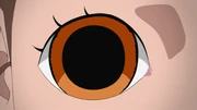 Yome | Narutopedia | Fandom