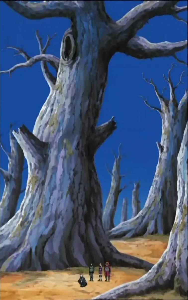 Foresta degli Alberi Giganti | NarutoPedia | Fandom