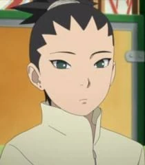 Shikadai Nara | NarutoPedia | Fandom