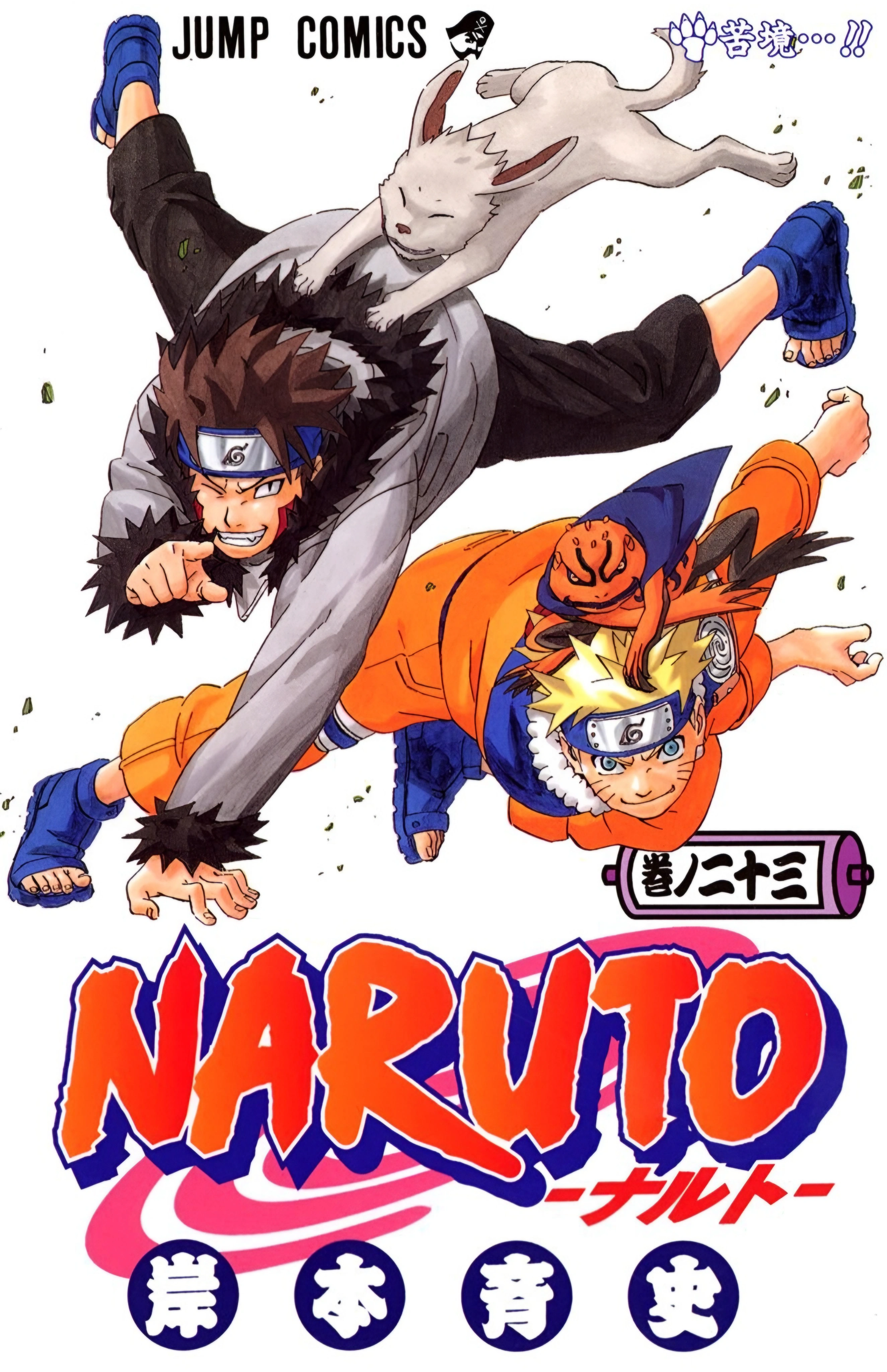 Volume 23: Em Apuros…!! | Wiki Naruto | Fandom