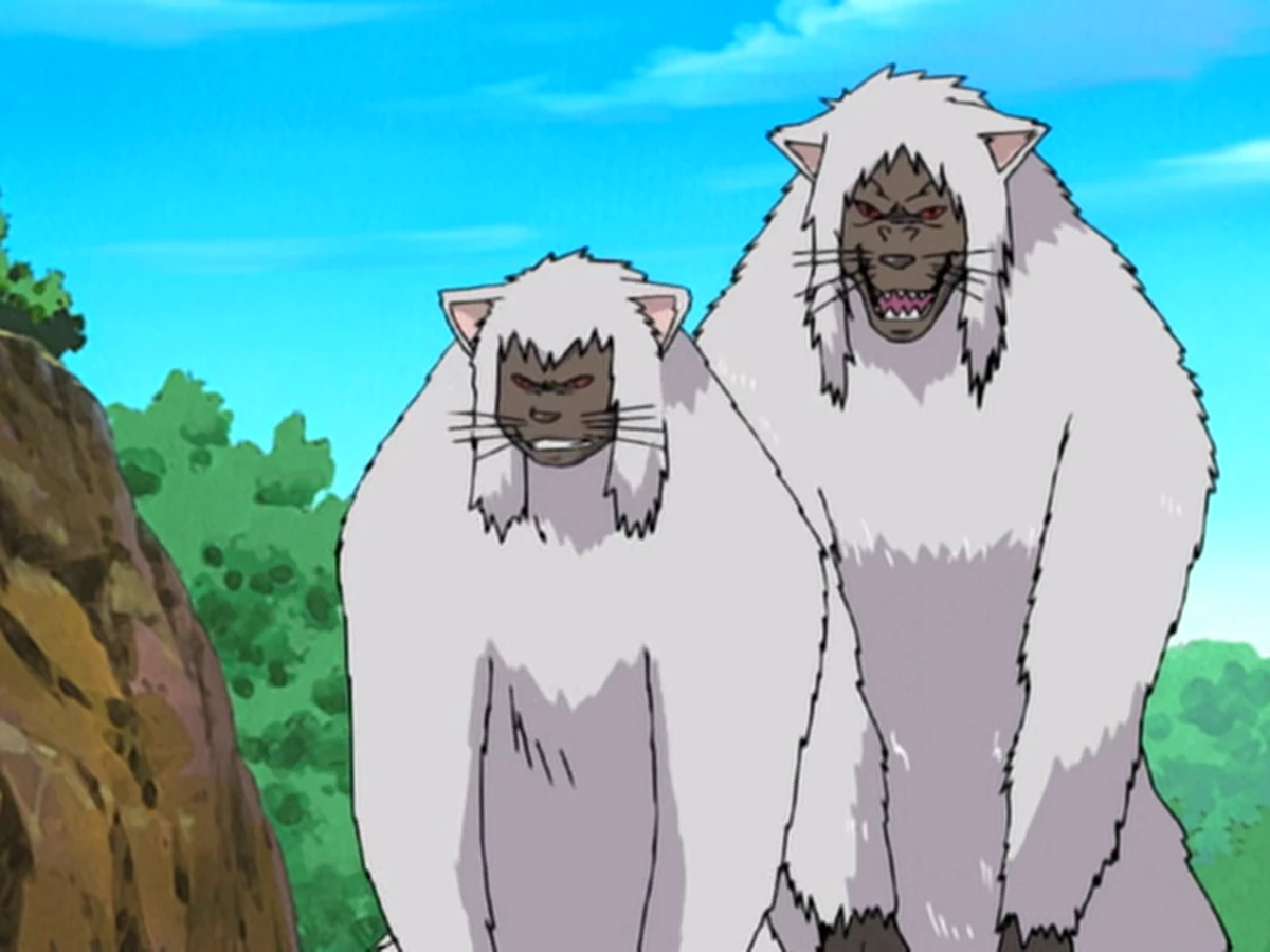 Onbaa | Narutopedia | Fandom