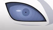 Rinnegan | Naruto Wiki | Fandom