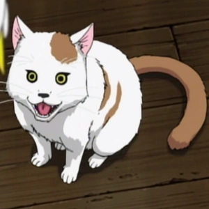 Shu | NarutoPedia | Fandom