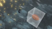 Oonoki | Wiki Naruto | Fandom