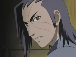 Sazanami | NarutoPedia | Fandom