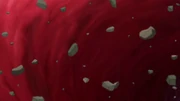 Wind Release: Sand Buckshot | Narutopedia | Fandom