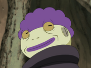 Shima | Narutopedia | Fandom