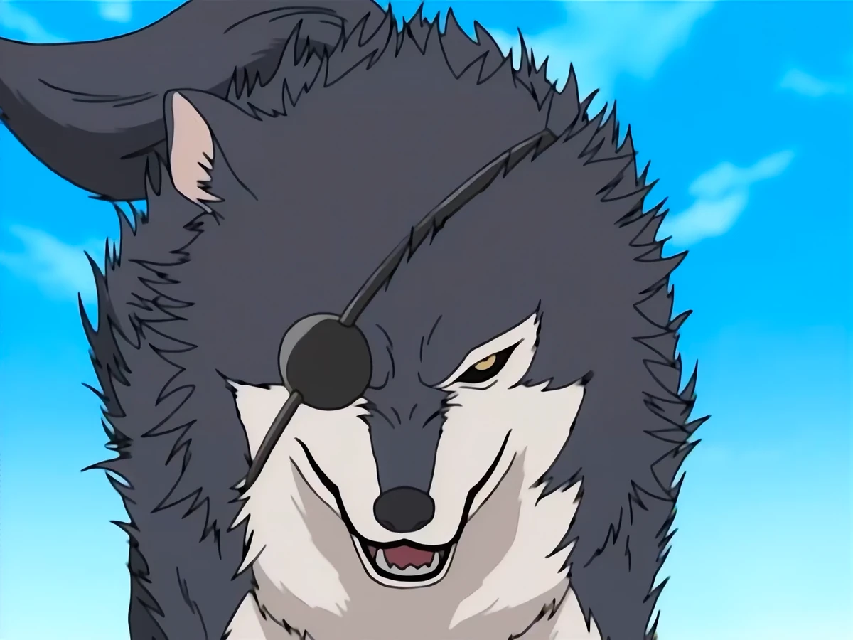 Kuromaru | Naruto Wiki | Fandom