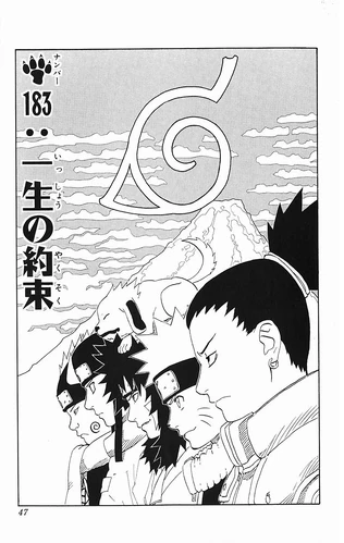 The Promise of a Lifetime | Narutopedia | Fandom