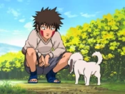 Kiba Inuzuka | NarutoPedia | Fandom