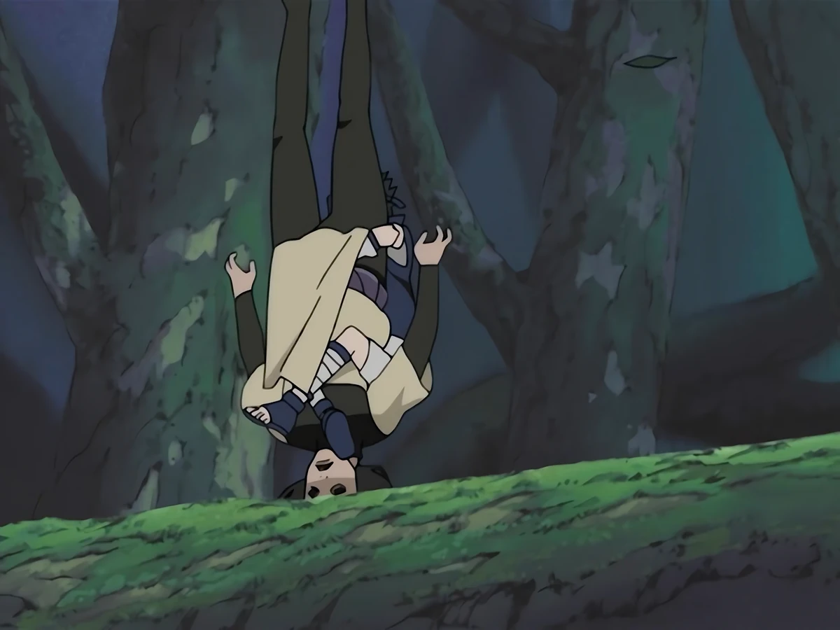 Peregrine Falcon Drop | Narutopedia | Fandom