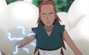 Karui | Narutopedia | Fandom