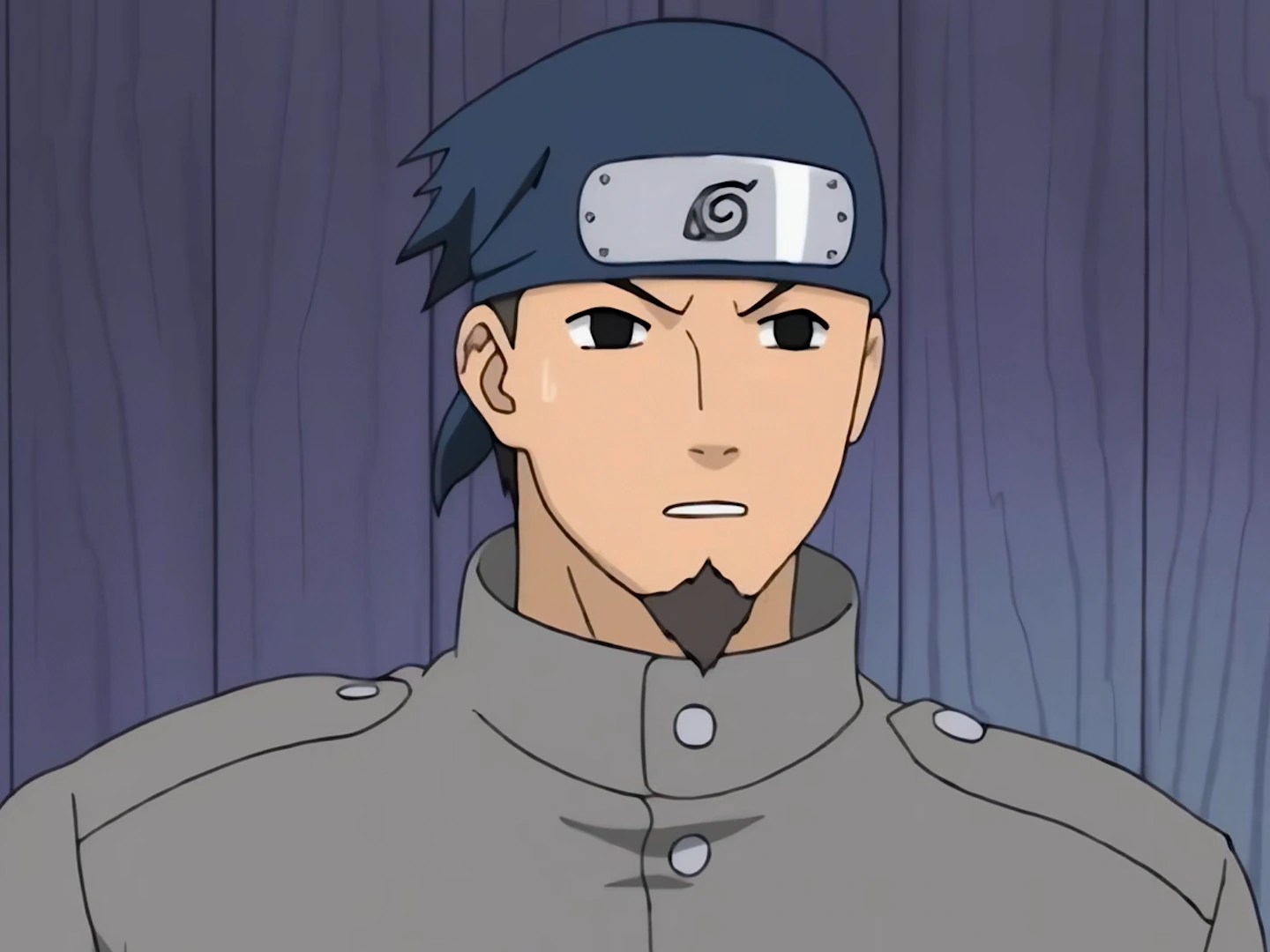 Iwashi Tatami | Narutopedia | Fandom