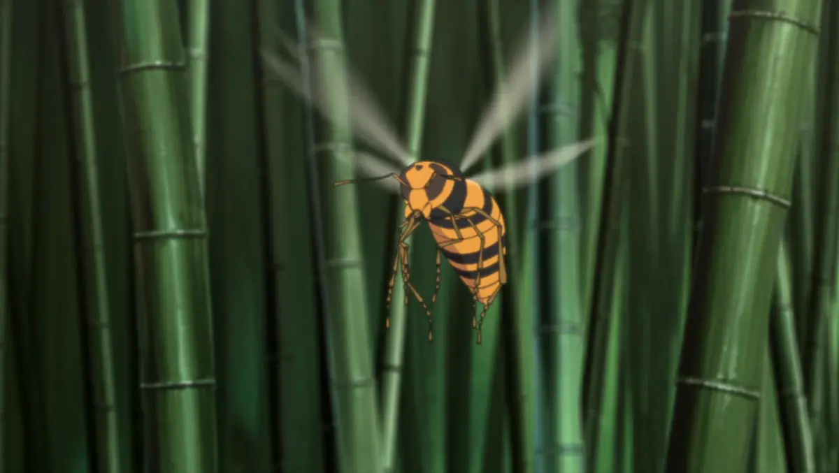 Api | NarutoPedia | Fandom