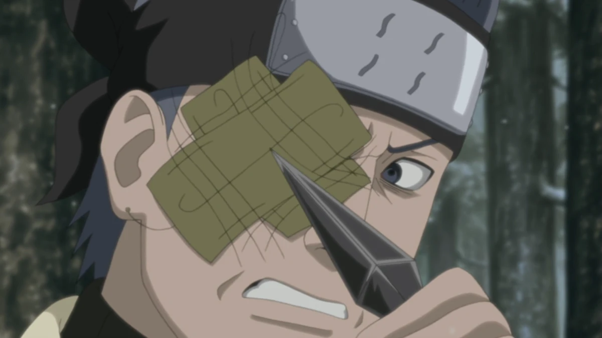 Barrier Talisman: Armoured Eye | Narutopedia | Fandom