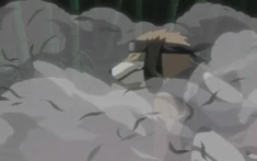 Ninken | Naruto Wiki | Fandom