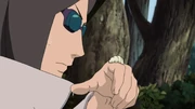 Clã Aburame | Wiki Naruto | Fandom