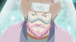 Roshi | NarutoPedia | Fandom