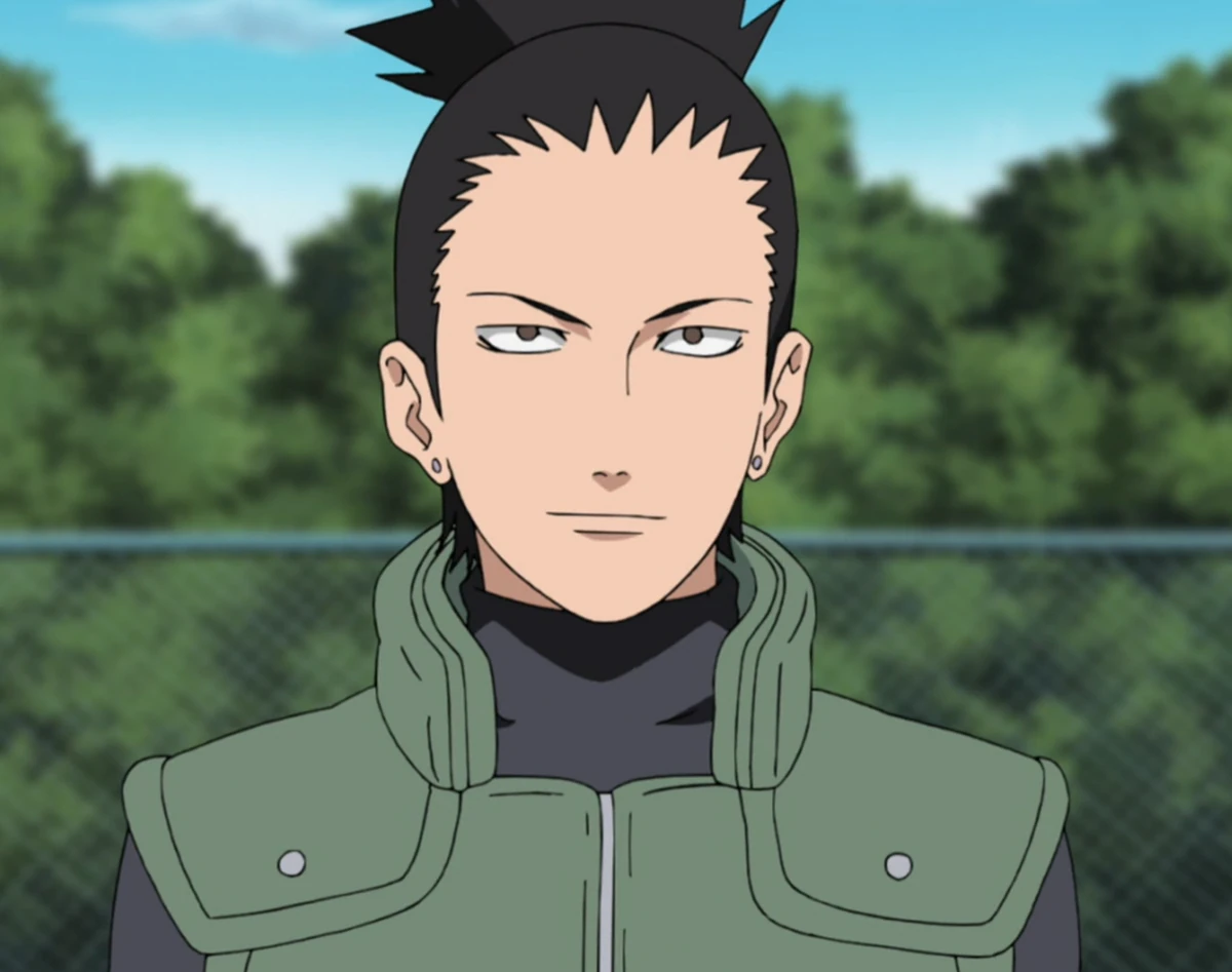 Shikamaru Nara | Naruto Wiki | Fandom