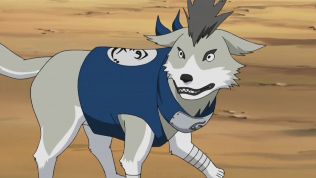 Shiba | Narutopedia | Fandom