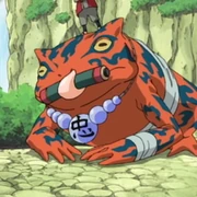 Gama | Narutopedia | Fandom