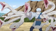 Mitsuki | Wiki Naruto | Fandom