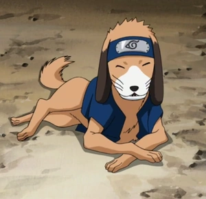 Guruko | NarutoPedia | Fandom