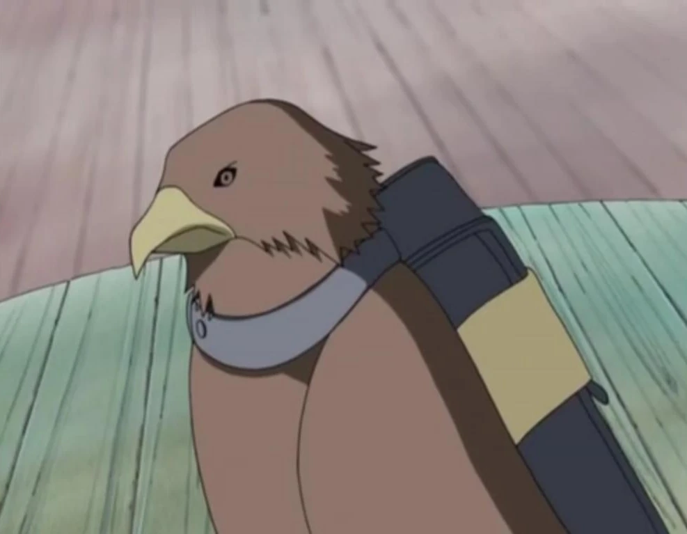 Takamaru | Narutopedia Indonesia | Fandom