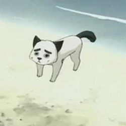 Pochi | NarutoPedia | Fandom