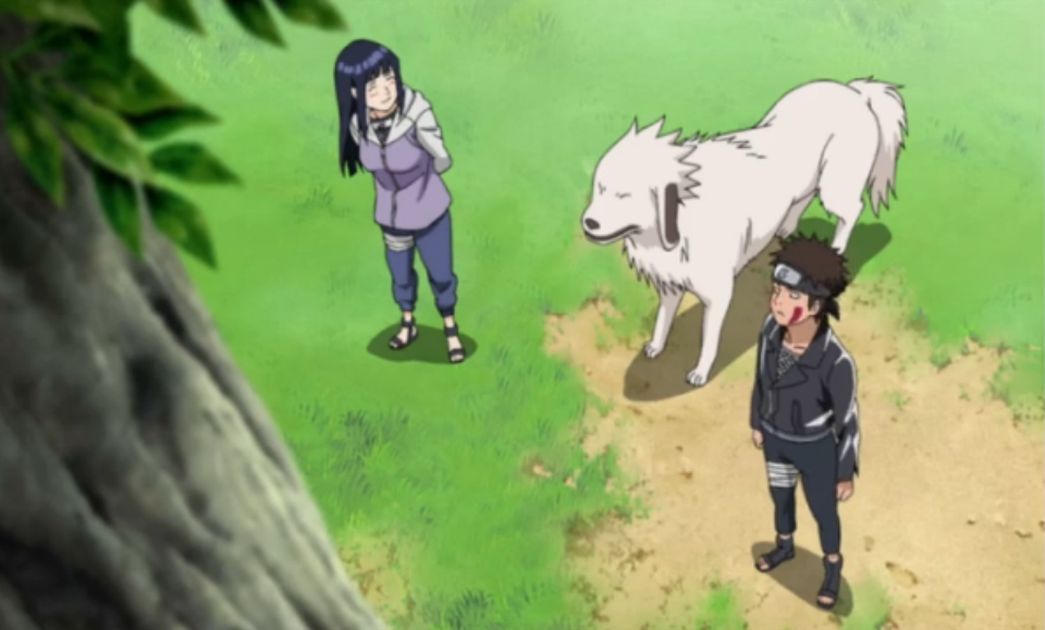 Naruto Shippūden - Episódio 240: A Determinação de Kiba | Wiki Naruto ...