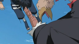 Proiettile del drago dello struzzo | NarutoPedia | Fandom