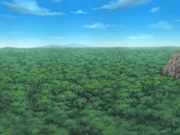 Foresta dello Sconcerto | NarutoPedia | Fandom