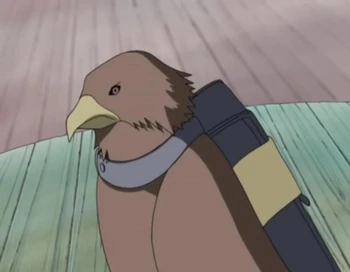 Takamaru | Naruto Wiki | Fandom