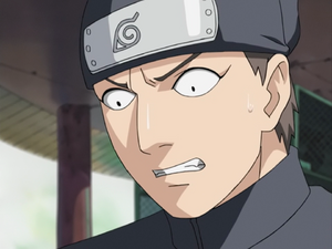 Natori | Narutopedia | Fandom