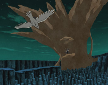 Arena | Naruto Wiki | Fandom