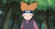 Moegi Kazamatsuri | Naruto Wiki | Fandom