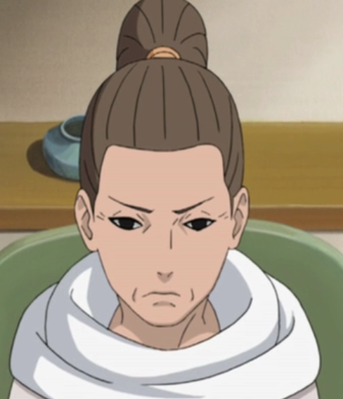 Biwako Sarutobi | Wiki Naruto | Fandom
