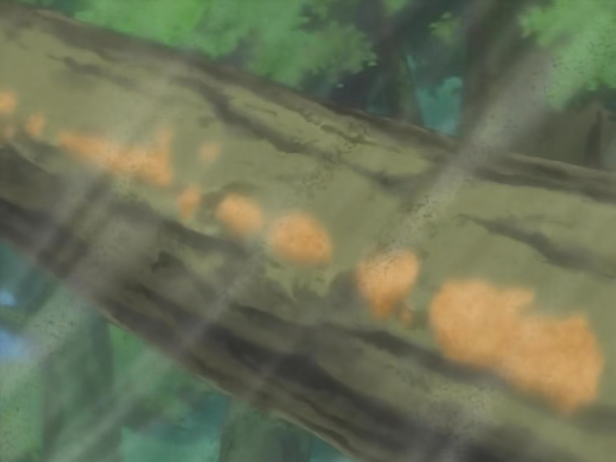 Dust Wind Technique Narutopedia Fandom