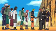 Kazekage Rescue Mission | Narutopedia | Fandom