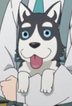 Kikuchiyo | NarutoPedia | Fandom