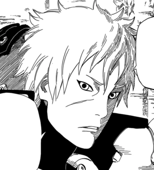 Log | Narutopedija | Fandom