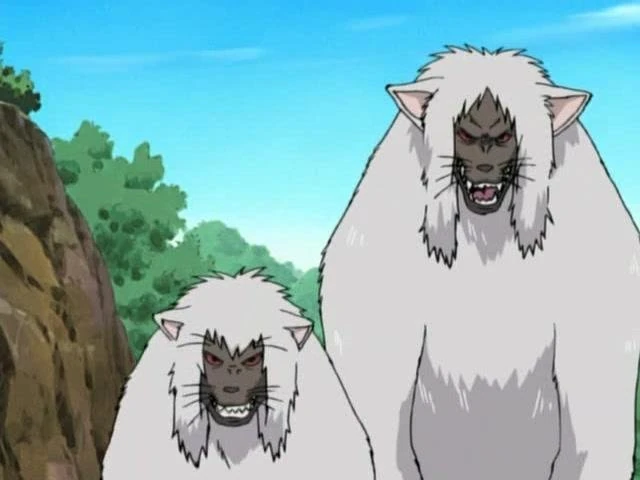 Onbaa | NarutoPedia | Fandom