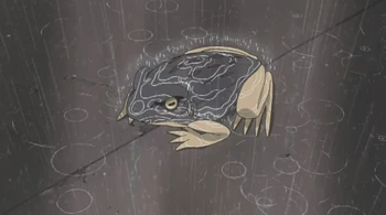 Summoning: Toad Shop Technique | Narutopedia | Fandom