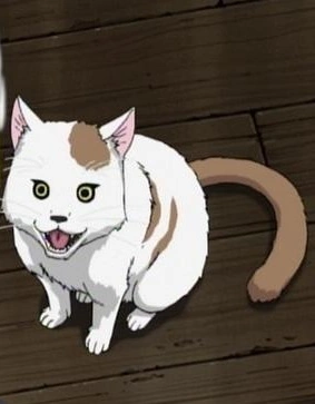 Shuu | Wiki Naruto | Fandom