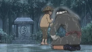 Chen | Narutopedia | Fandom