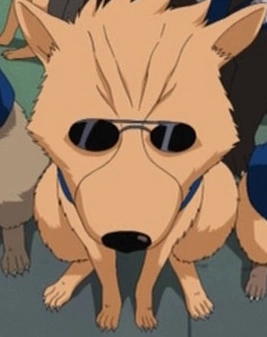 Akino | Wiki Naruto | Fandom