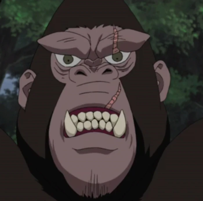 King | Narutopedia | Fandom