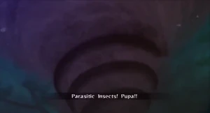 Parasitic Destruction Insects: Pupa | Narutopedia | Fandom